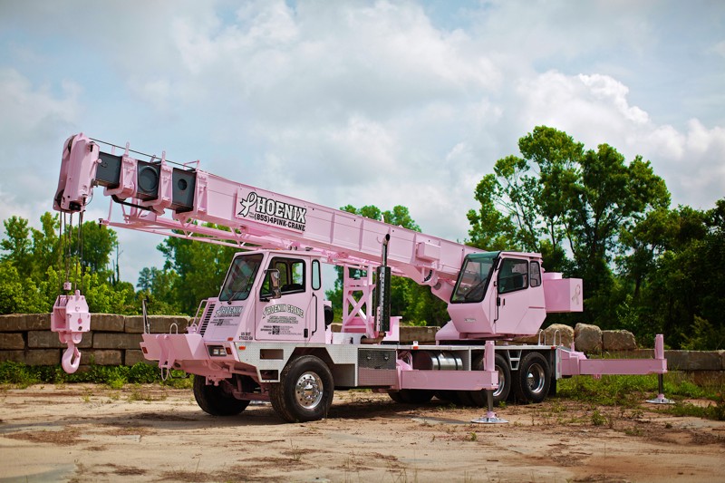 Pink Crane Official Photo - All Things Cranes